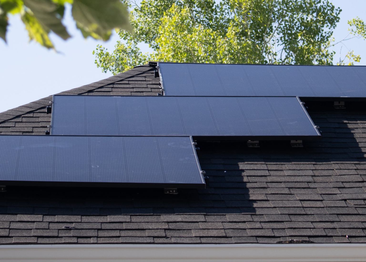 What’s New at REC: Alpha Pro M & More! | Greentech Renewables