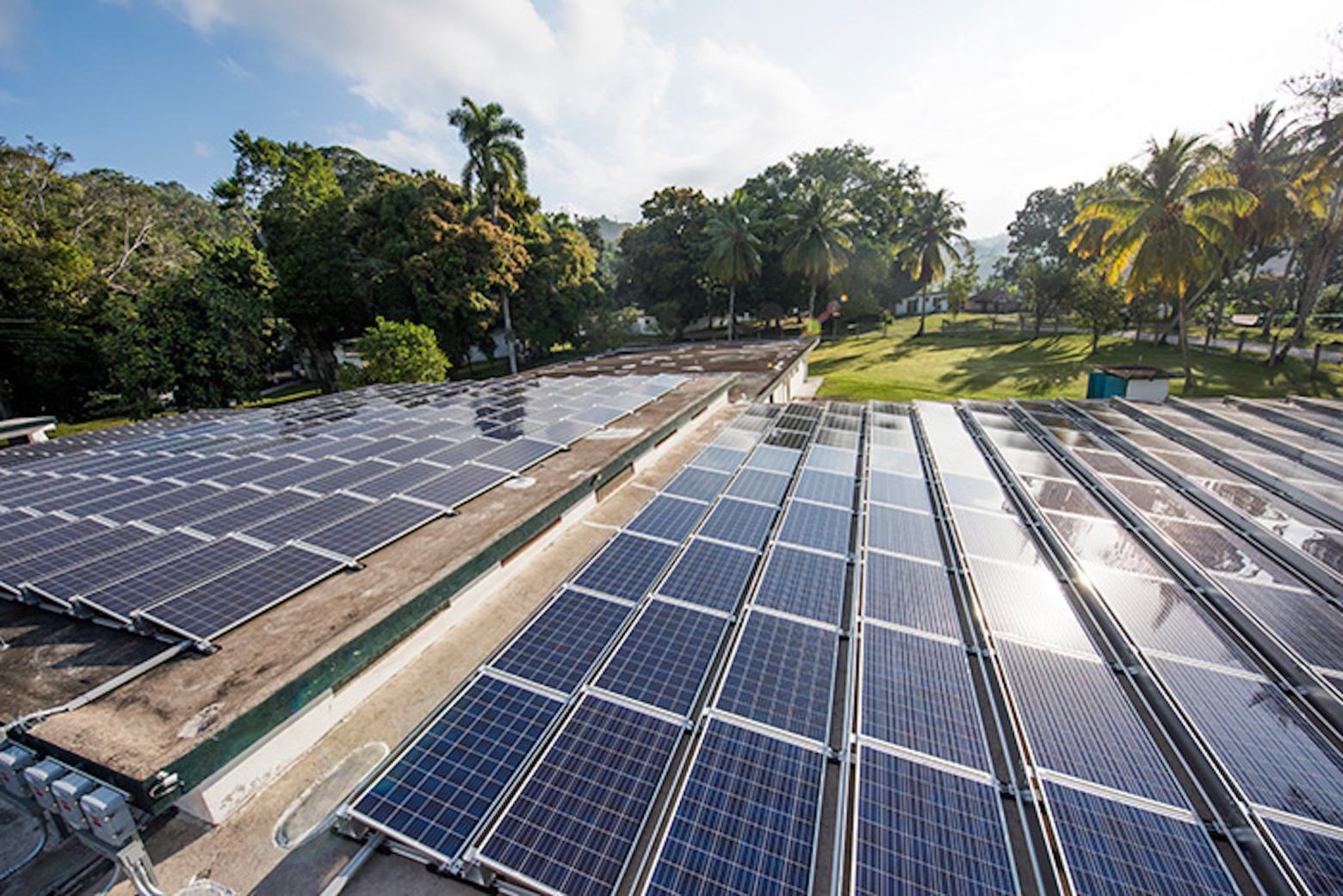 Microgrids: Advancing Energy Resilience | Greentech Renewables