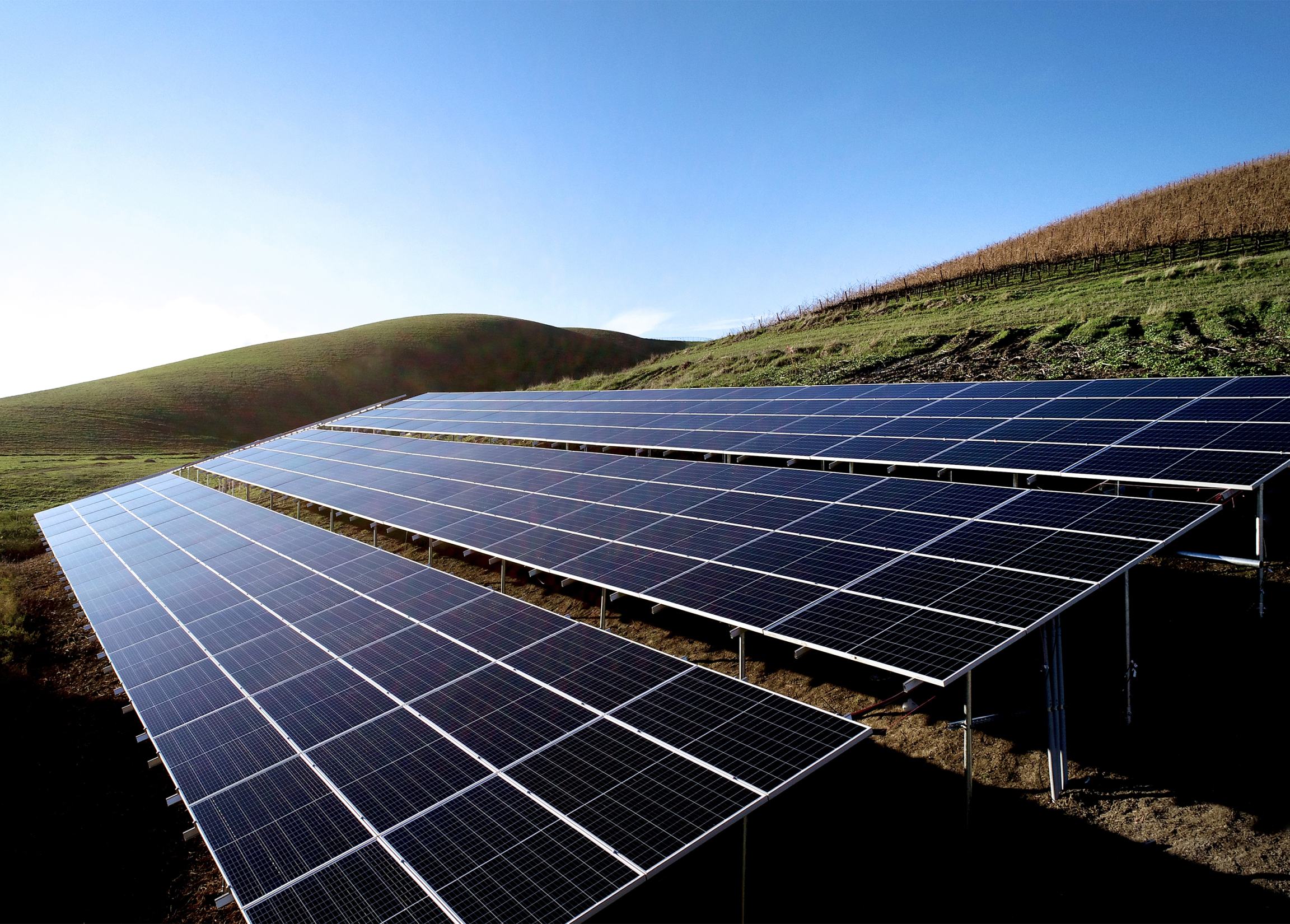 Jacksonville, FL | Greentech Renewables