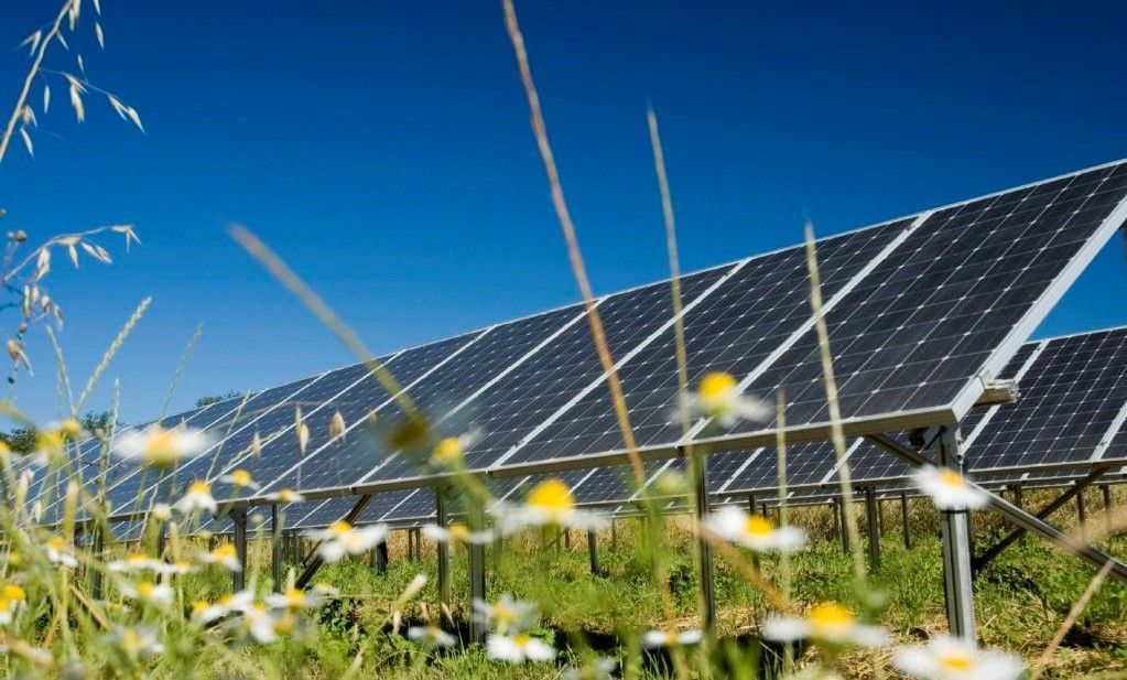 How Does Community Solar Work? | Greentech Renewables