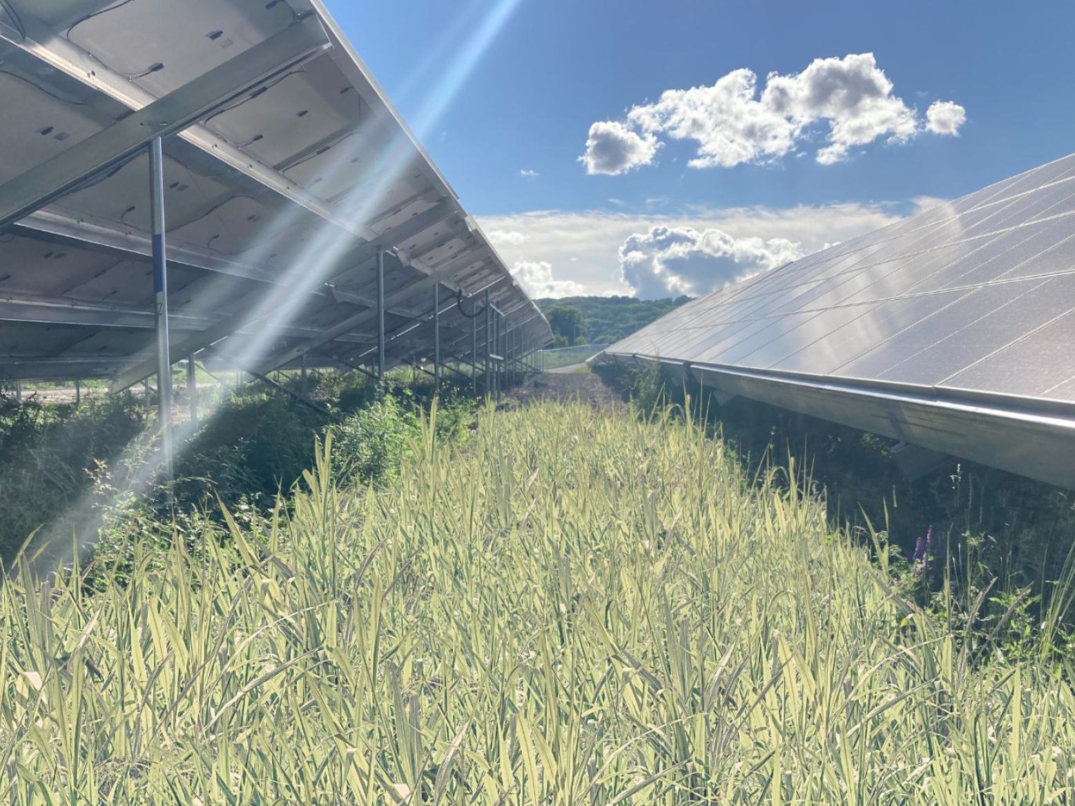 Customer Projects | Greentech Renewables